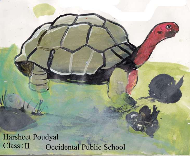 Occidental Public School